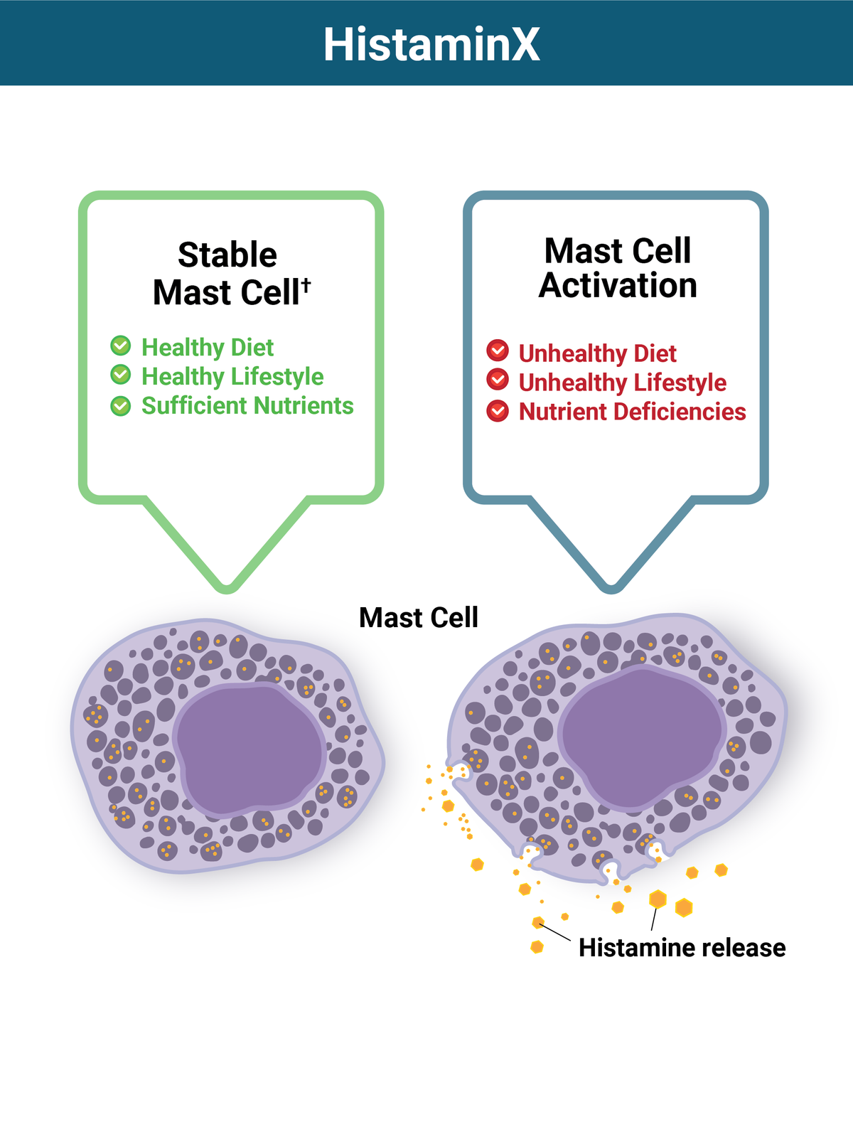 HistaminX | | SeekingHealth