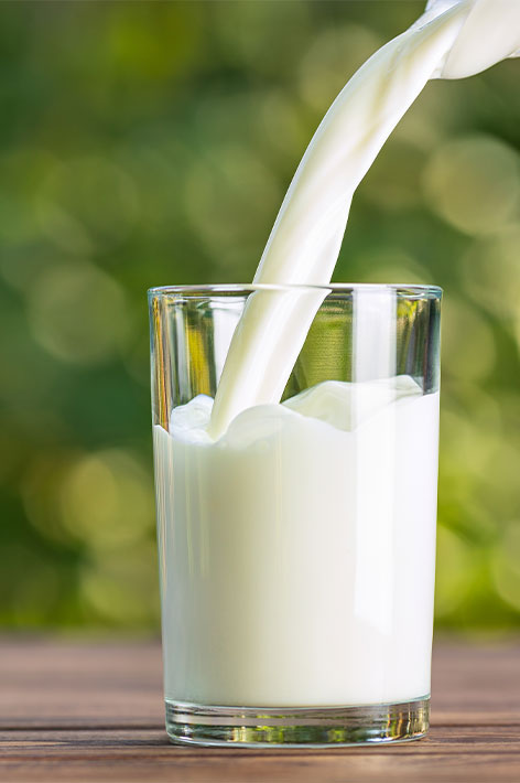 Lactase Drops | | SeekingHealth