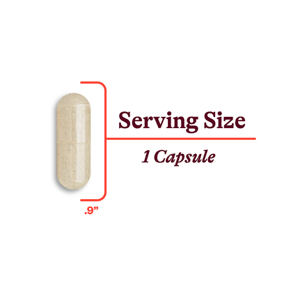 Multivitamin One MF | Seeking Health