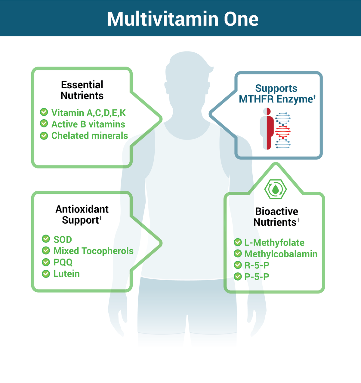 Multivitamin One | | SeekingHealth