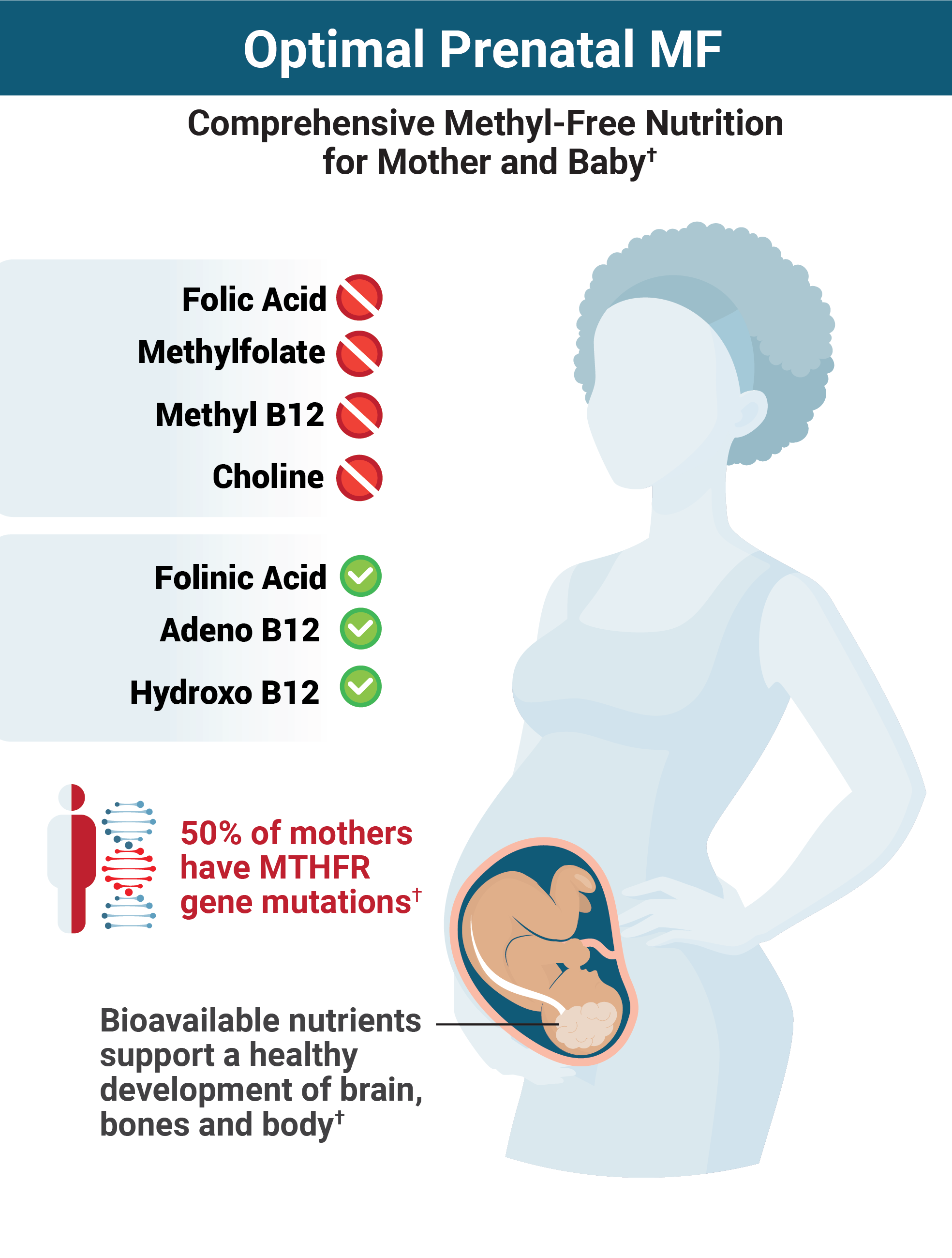 Methyl-Free Prenatal Vitamins - Optimal Prenatal 180 Capsules — Seeking ...