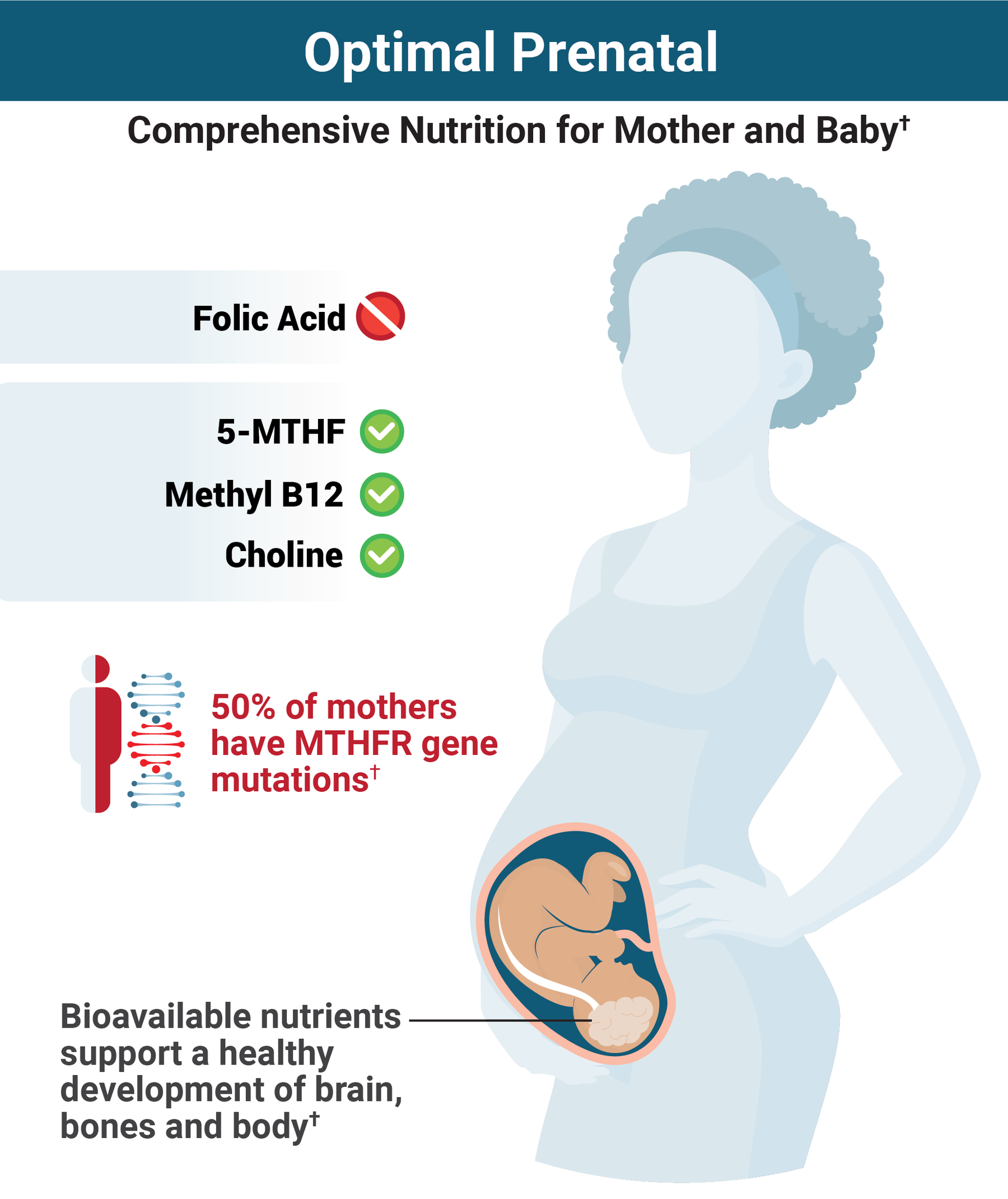 Optimal Prenatal | | SeekingHealth
