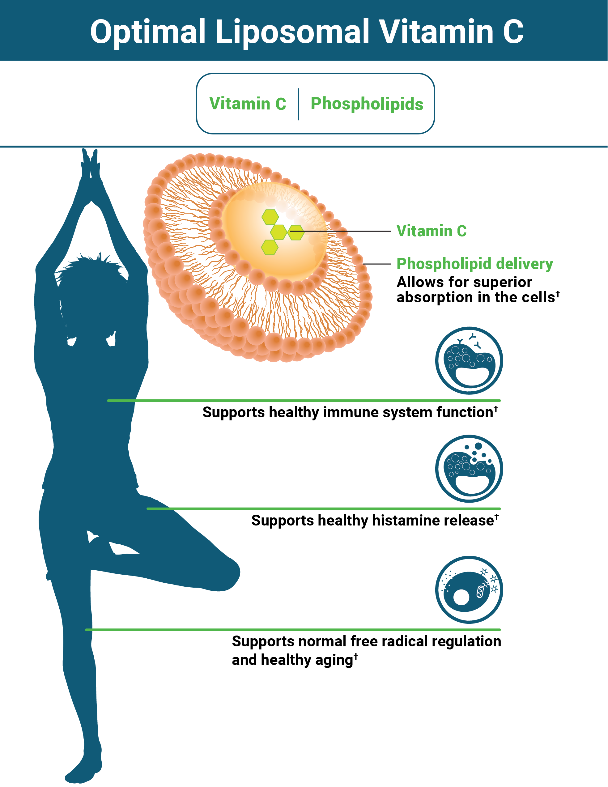 Liposomal Vitamin C | | SeekingHealth