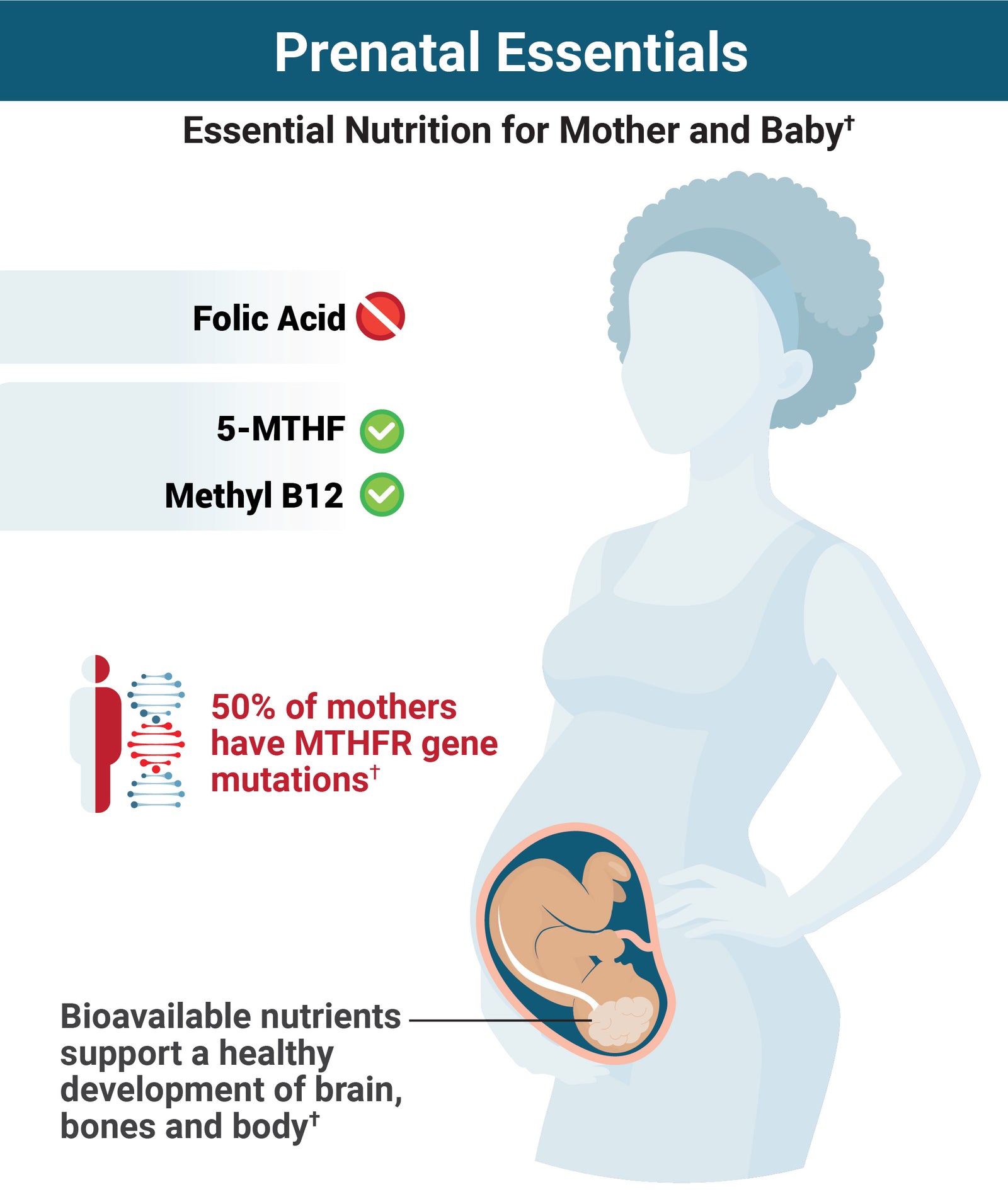 Prenatal Essential Vitamins — Seeking Health
