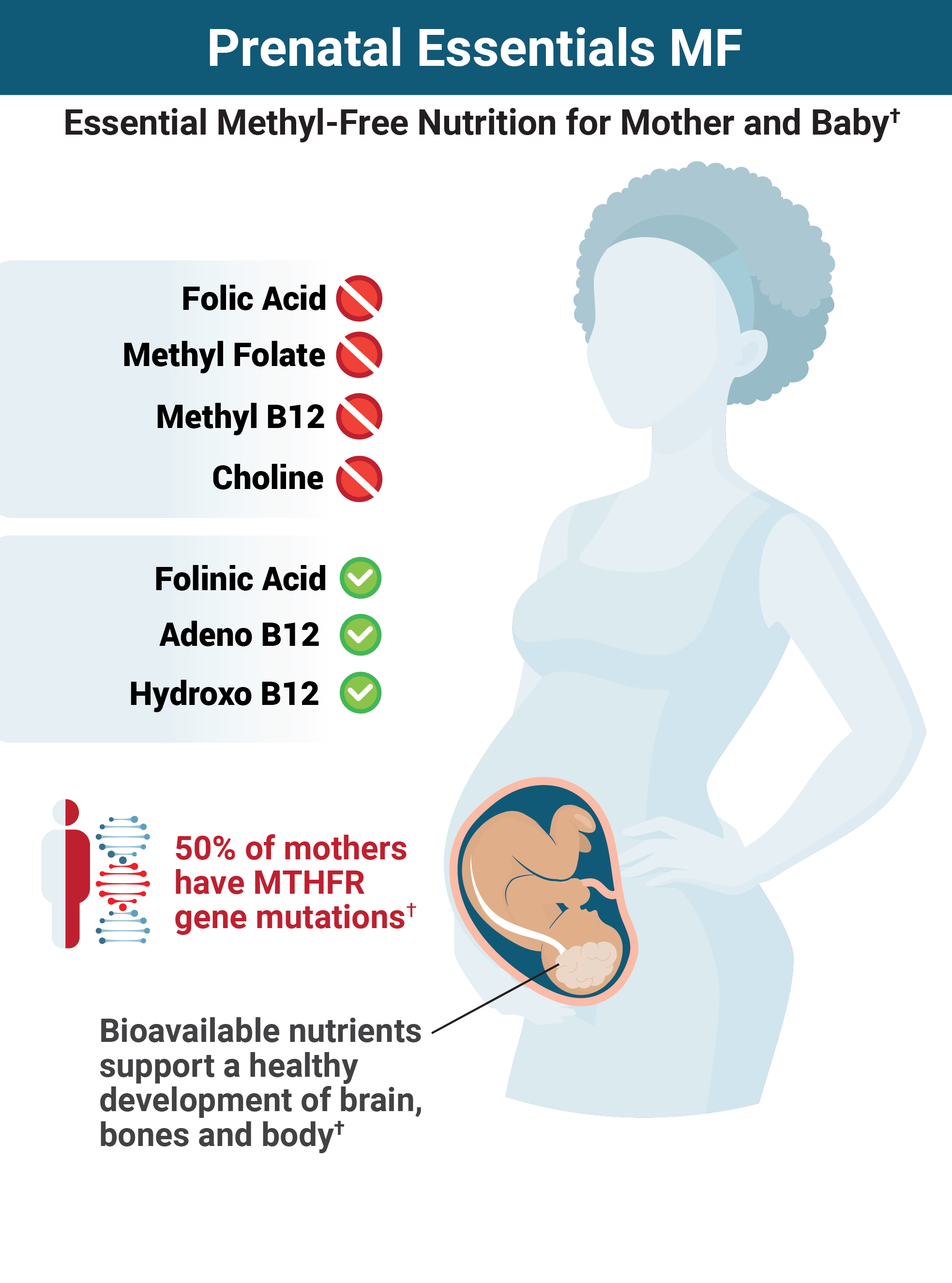 Prenatal Essentials MF | | SeekingHealth