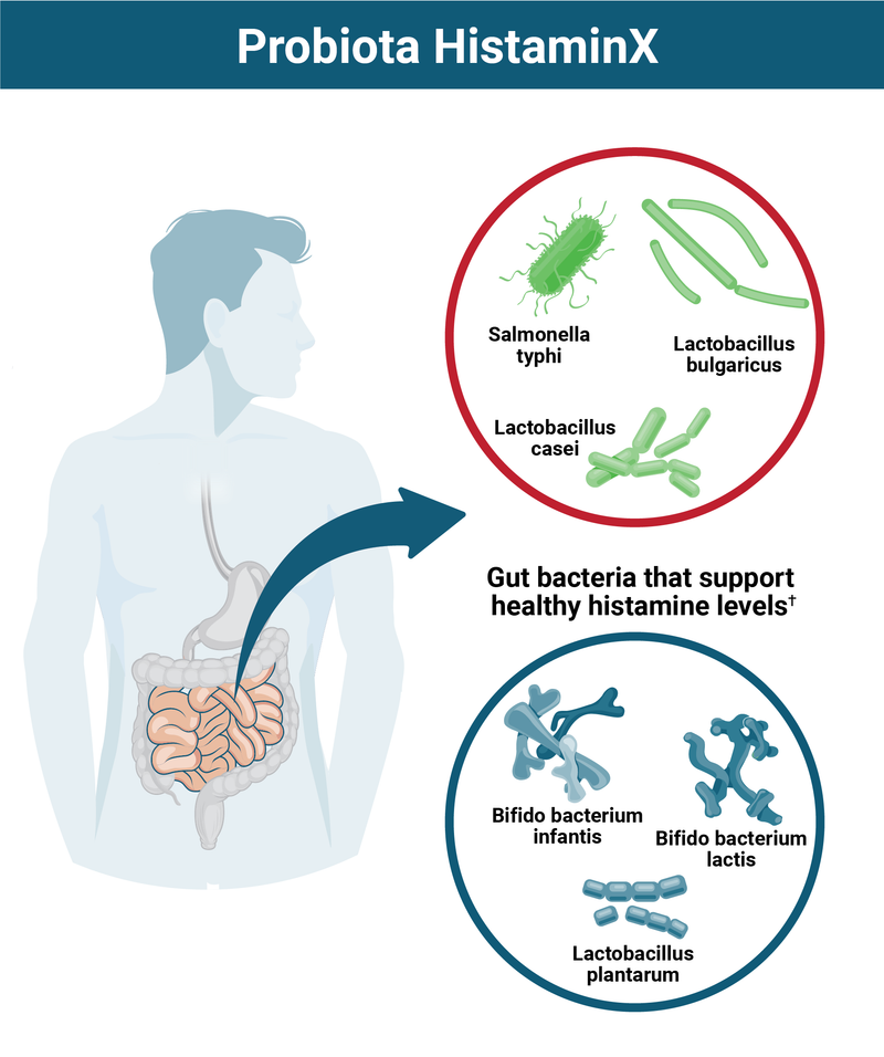 Low Histamine Probiotics | ProBiota HistaminX | Seeking Health