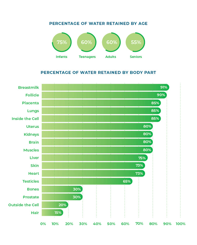 Optimal Electrolyte | | SeekingHealth